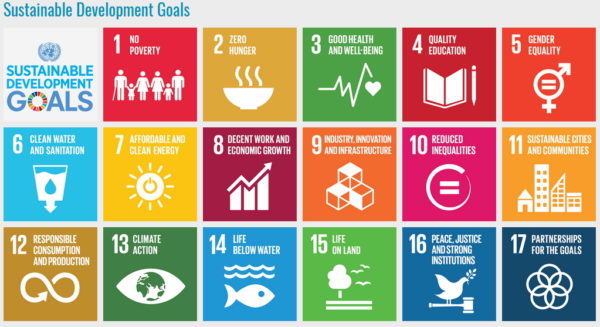 L’agenda 2030 in Italia: informazione statistica per il monitoraggio ...